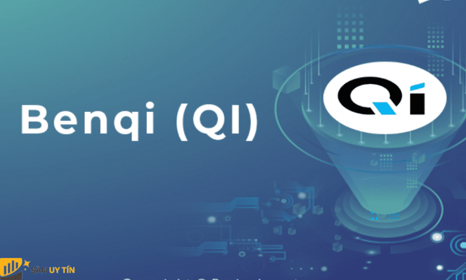 BenQi Coin là gì? Có nên đầu tư vào BenQi hay không? - SANUYTIN