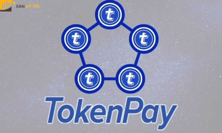 TokenPay là gì? Đánh giá mới nhất về nền tảng TokenPay và TPAY Coin ...