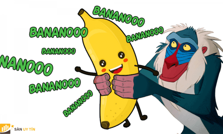 Banano Coin là gì? Đặc điểm nổi bật của Banano Coin - SANUYTIN
