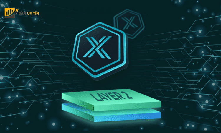 Immutable X là gì? Đánh giá mới nhất về dự án Immutable X (IMX) - SANUYTIN