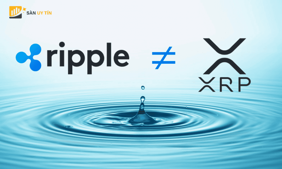 Ripple coin là gì? Tổng hợp kiến thức đầu tư hiệu quả Ripple (XRP ...