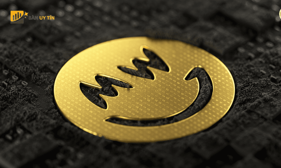 Grin coin là gì? Tìm hiểu chi tiết về dự án Grin coin (GRIN) - SANUYTIN