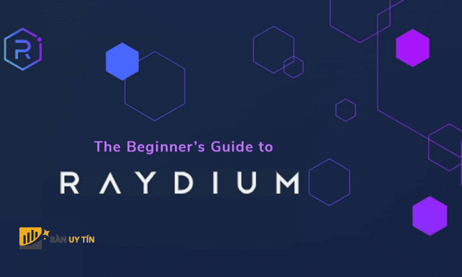 Raydium (RAY) là gì? Một số thông tin thú vị về Raydium (RAY) 2023 ...