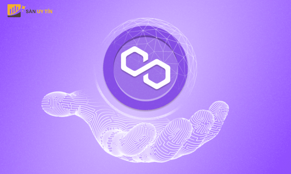 Matic Network là gì? Một số thông tin quan trọng về Matic Network ...