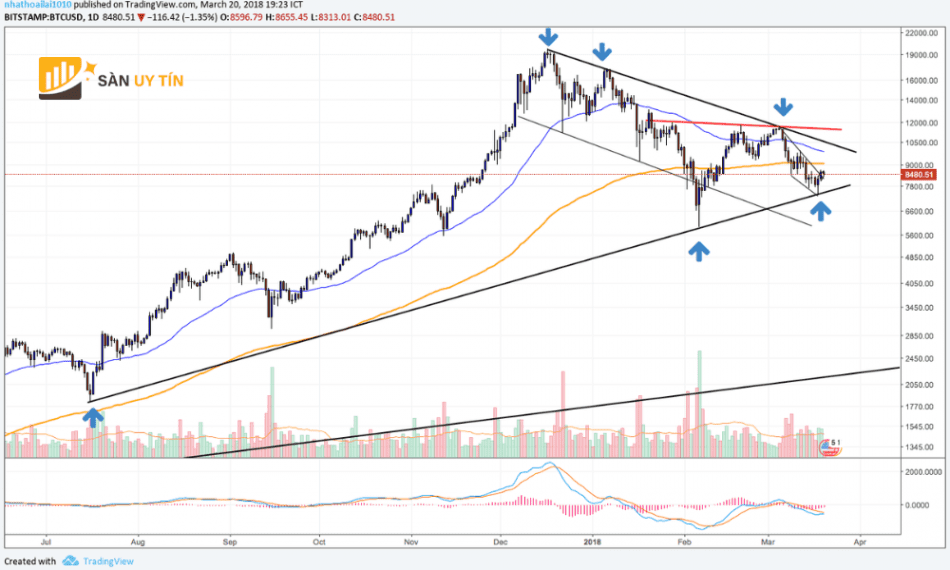 Biểu đồ Logarit là gì? Cách sử dụng biểu đồ Logarit trong ngoại hối