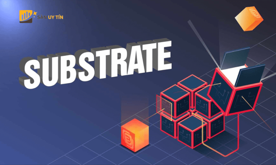 Substrate là gì? Lý do nền tảng này thu hút các nhà phát triển Blockchain